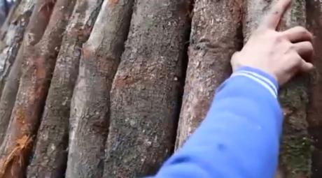 木炭的烧制过程