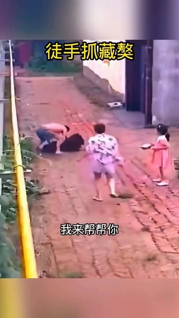 徒手抓藏獒 #搞笑配音 #搞笑视频