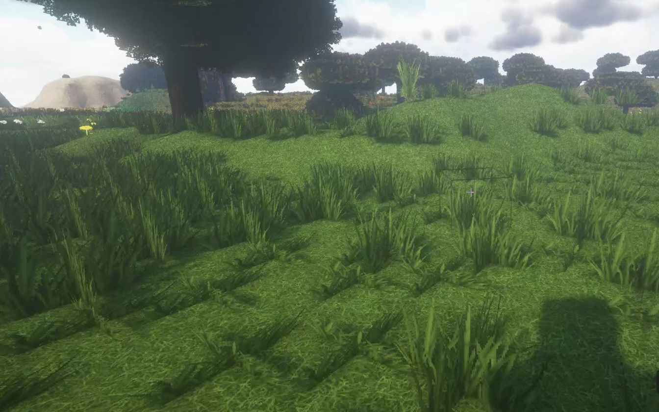 这已经是现实画质的mc了吧