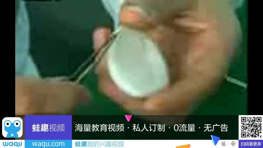2·1·制作洋葱表皮细胞的装片 七年级生