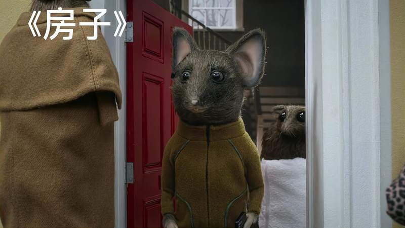 2022毛毡动画《房子》:辛辛苦苦装修却为他人做了嫁衣