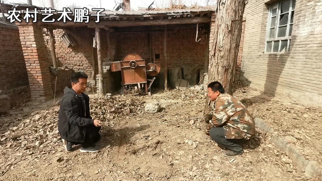 50年树龄大树根是什么样的,这树根到底有什么不同,预估肯定好看