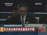 [视频]亚太经合组织系列会议召开