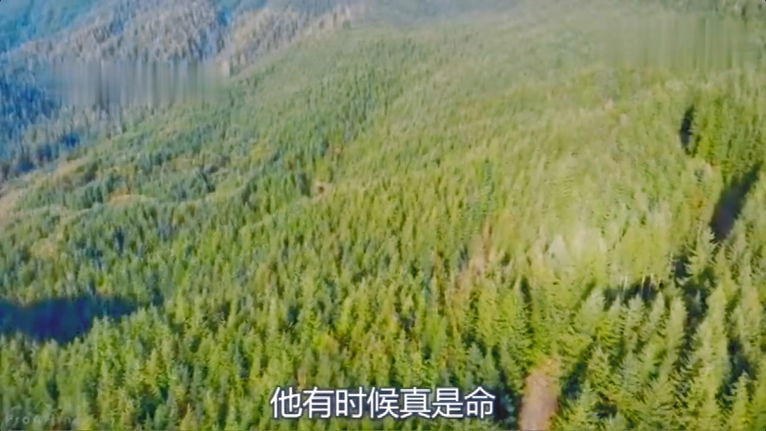 【大案纪实】沈阳三八大案侦破纪实_六