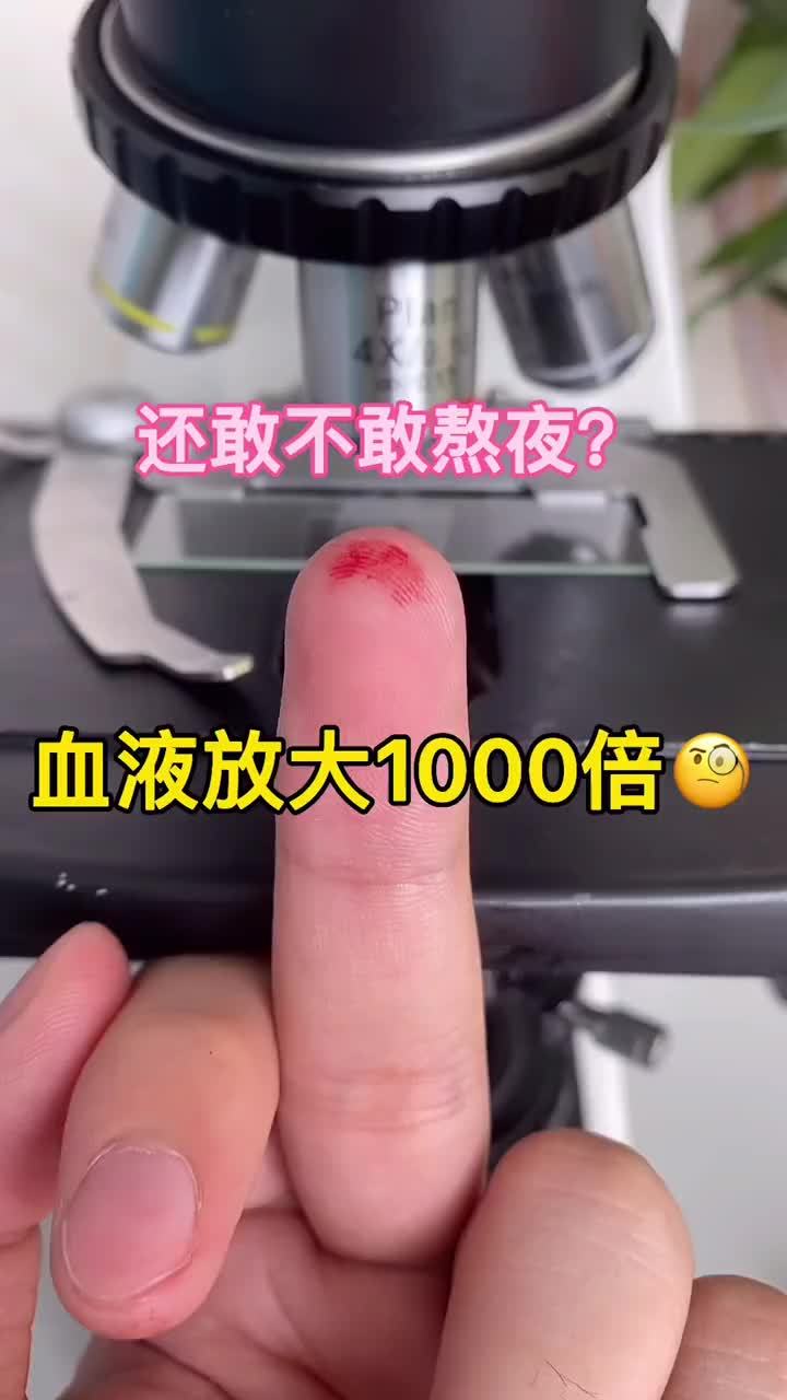34_显微镜下的世界