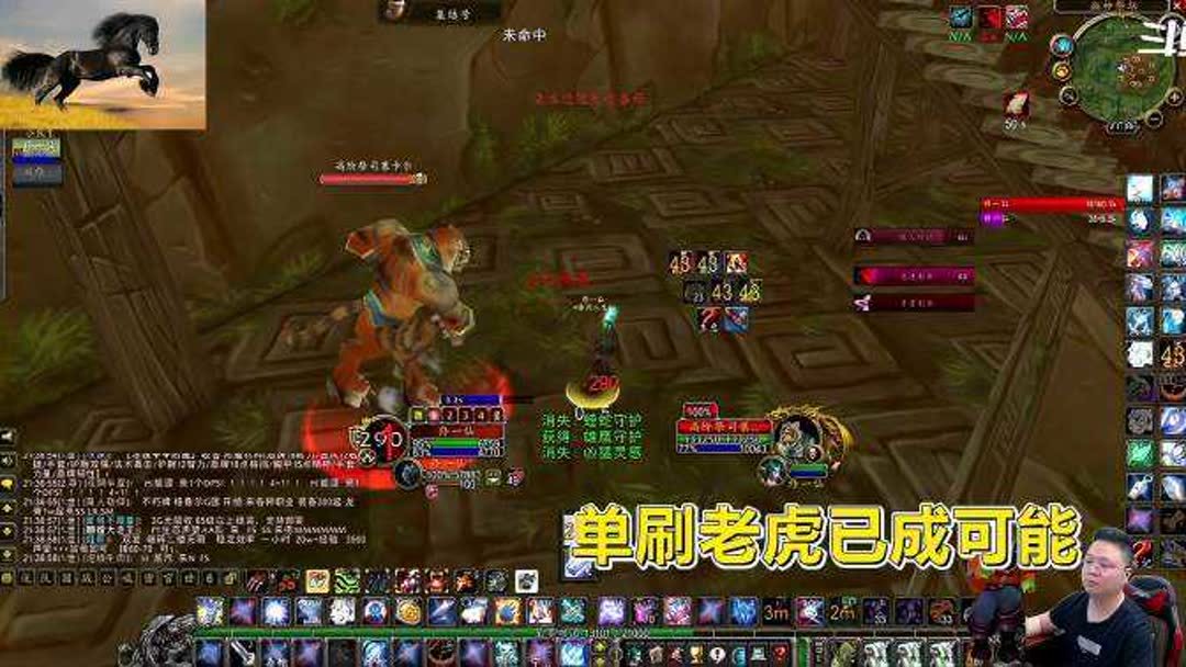魔兽TBC怀旧服:猎人单刷老虎稳定进入P2!只差一块敲门砖了!