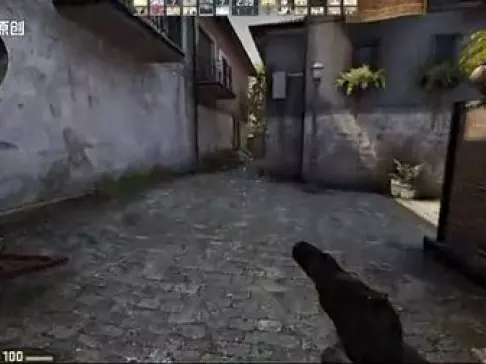 《csgo》躲猫猫模式我是躲猫猫高手中的菜鸟