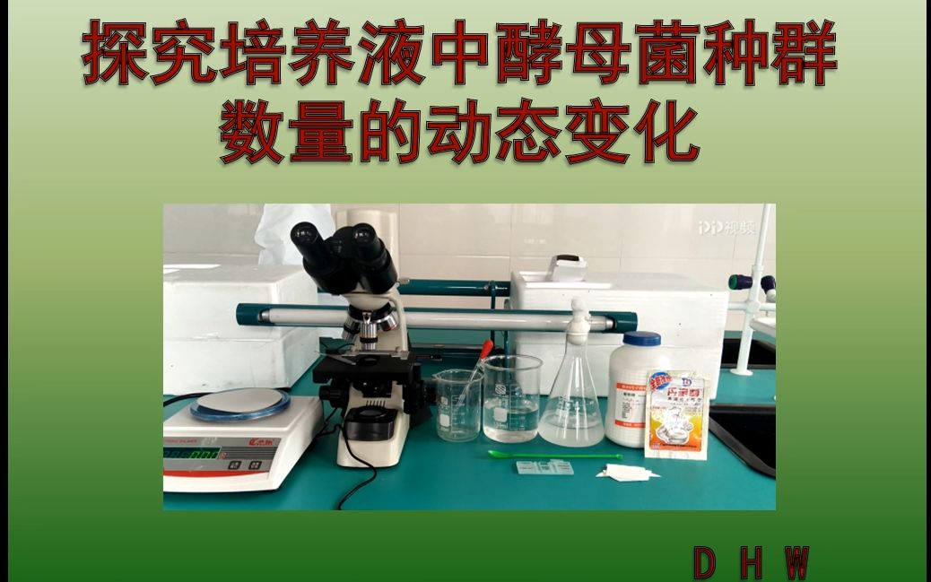 探究酵母菌种群数量视频