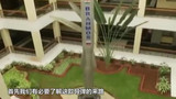 印度联合它国,30家企业研发导弹,射程比中国火箭炮还短