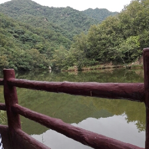 账号涉嫌违规已被封号 
