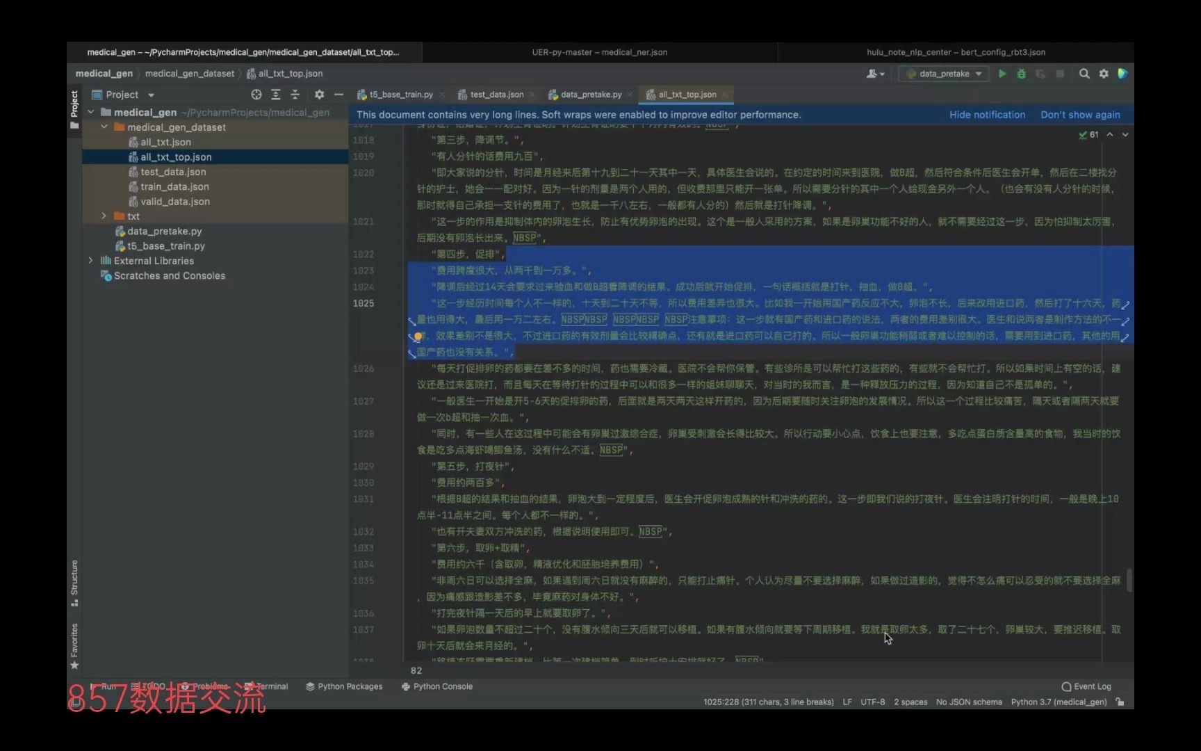 857数据技术交流峰会之NLP 自然语言处理
