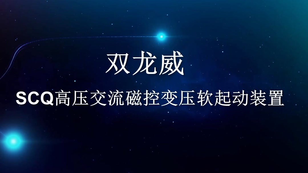 襄阳双龙威:高压磁控软启动器/高压磁控软起动柜/自励式磁控软启