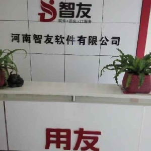 河南智友软件有限公司 