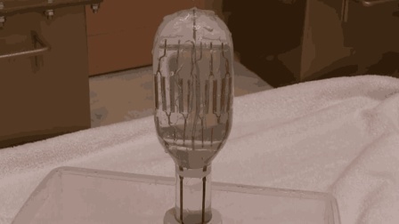 在灯泡里灌满水并通电会怎样? 老外亲自实验, 结果和想的不一样