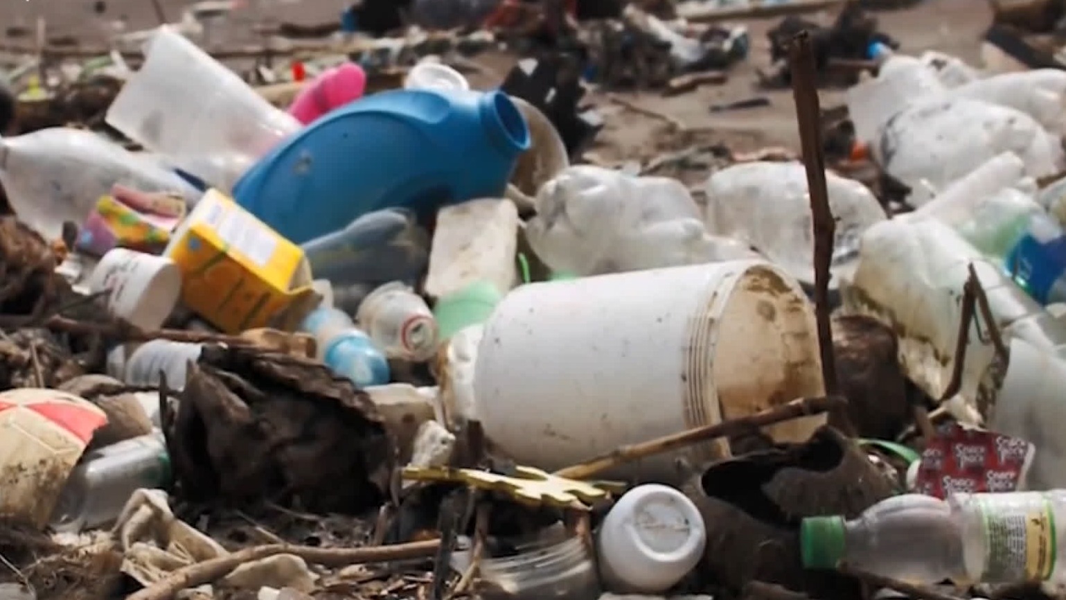 白色污染将被彻底解决,美国科学家发现吃塑料的虫子,一起来看看