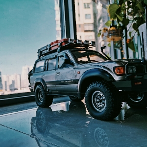 奔跑的小蘑菇WEI 