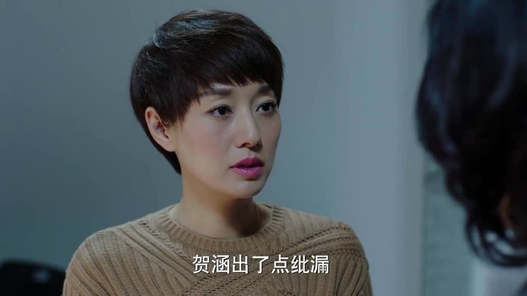 苏总见贺涵马上就要倒了,打起了小算盘,想方设法开除子君!