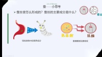 二、生物课:蚕宝宝的一生
