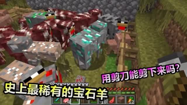 MC我的世界:教大家怎么获得无限的钻石和宝石?割羊毛就行了