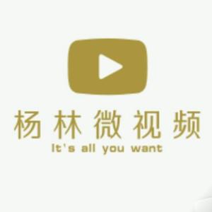 杨林微视频 