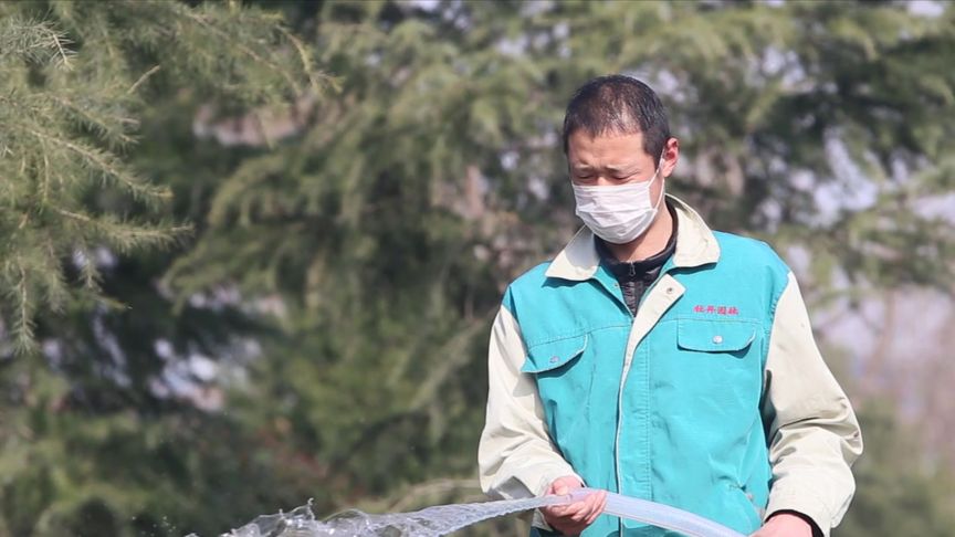 菏泽:牡丹区园林处四项举措,推进疫情防控和养护管理“两不误”