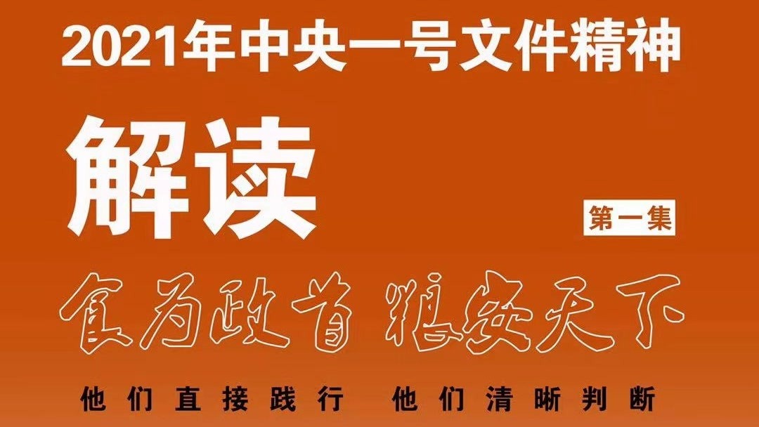 三农三人谈 第1集 2021年中央一号文件精神解读 (一)