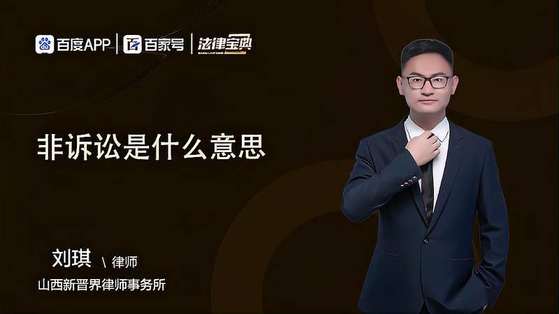 非诉讼是什么意思