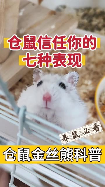 你家仓鼠有多信任你?赶紧来测试一下吧!