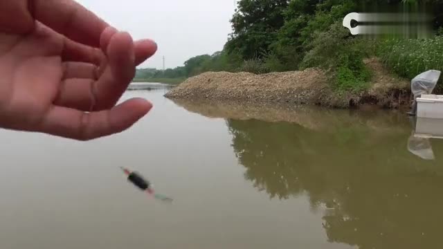 调漂:最快野钓调漂,简单易学,鱼口明显浮漂信号大,来口就中鱼