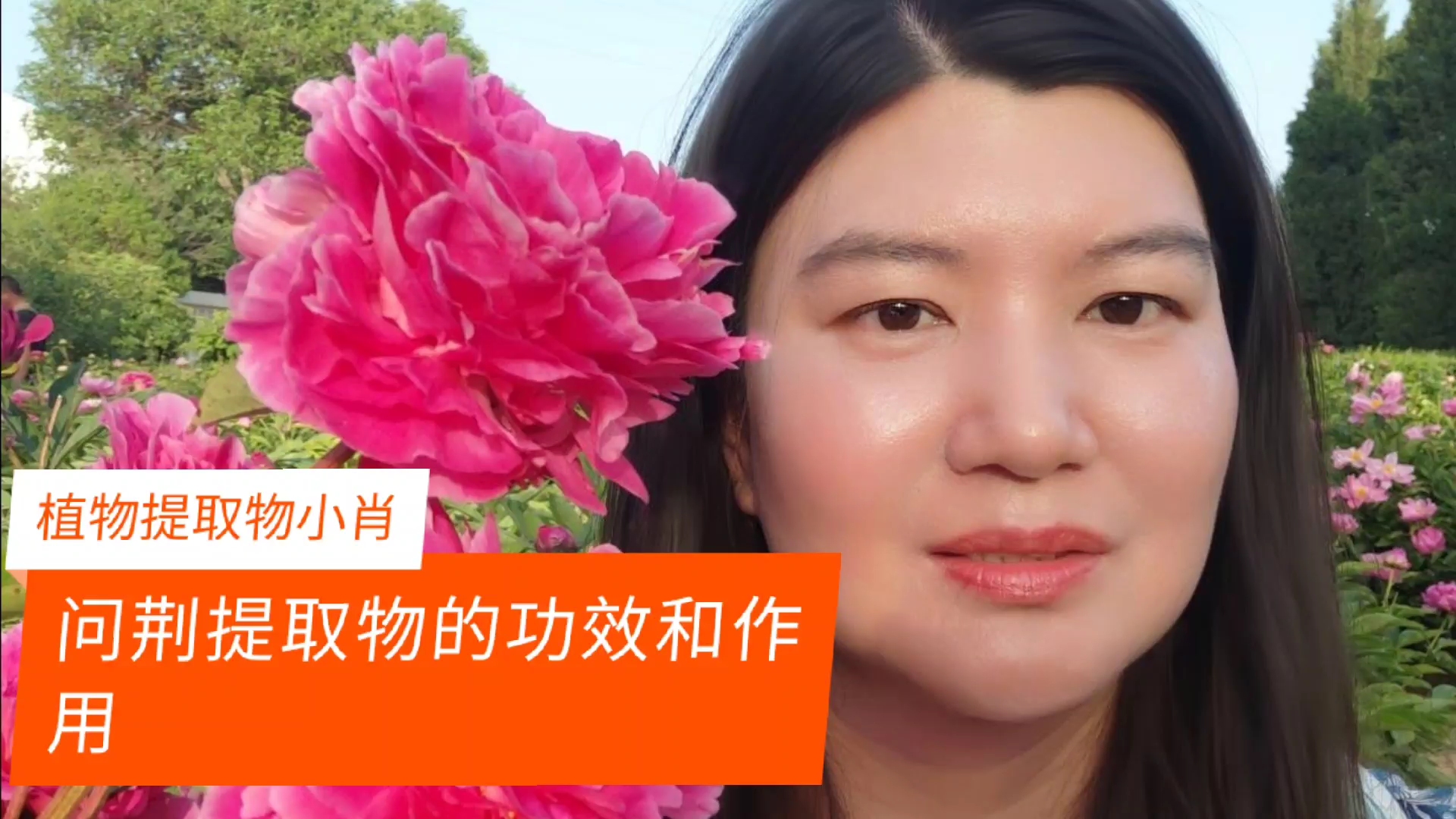 问荆提取物的功效和作用