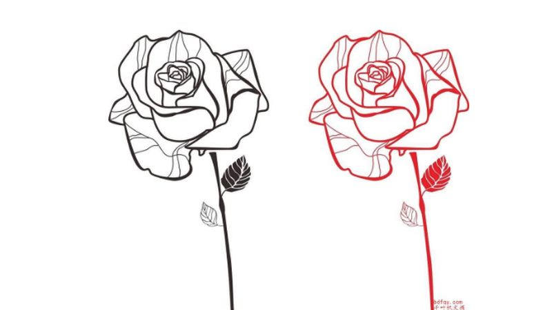 宝宝爱学简笔画,简单几笔勾勒出迷人的牡丹送给宝宝们,双击关注