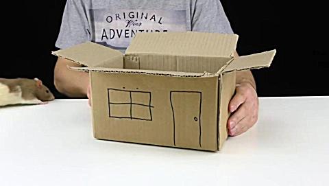 DIY手工制作《如何制作仓鼠冰棒棍的房子》