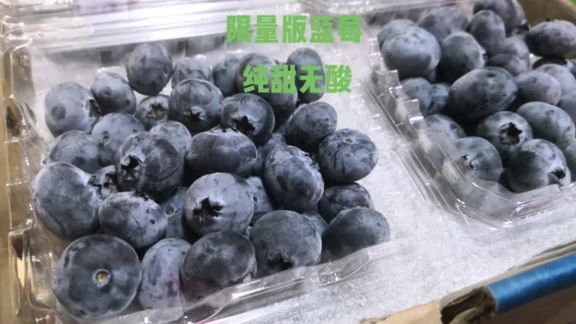 #有想吃的吗 #超大粒蓝莓