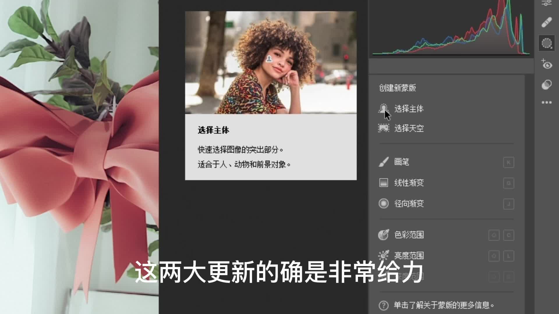 Camera raw14.0(带字幕)