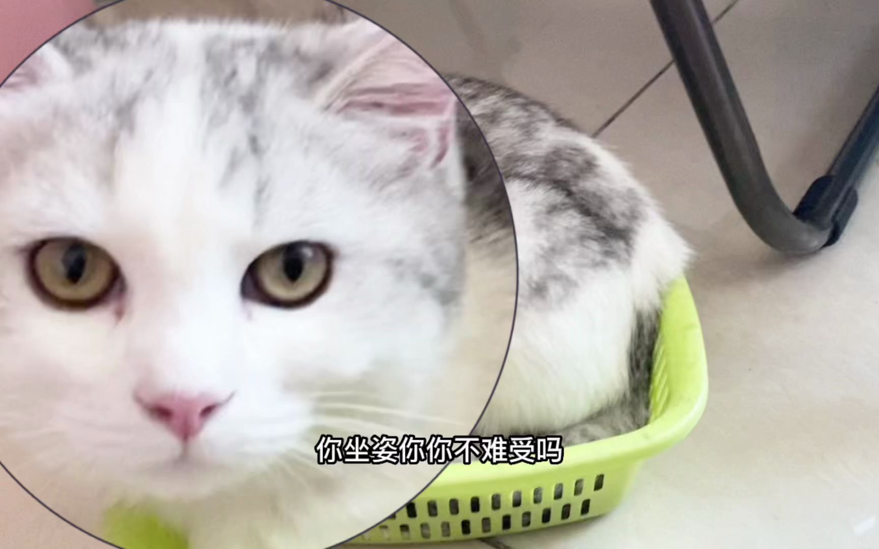 英国佬这样蹲着不会难受吗?