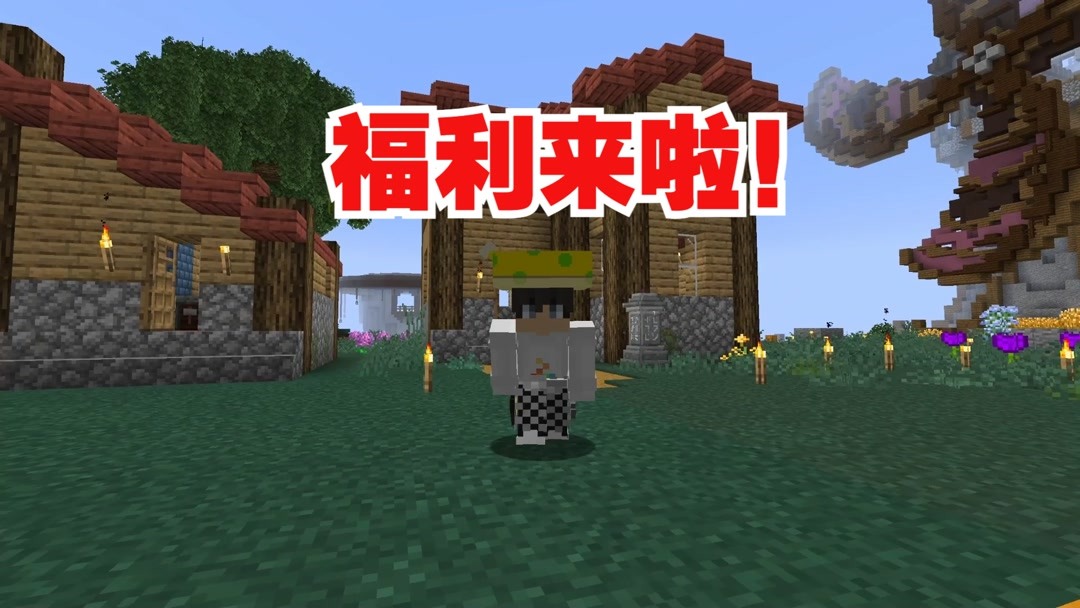 【MC大白】我的世界洞穴与山崖福利开奖啦!