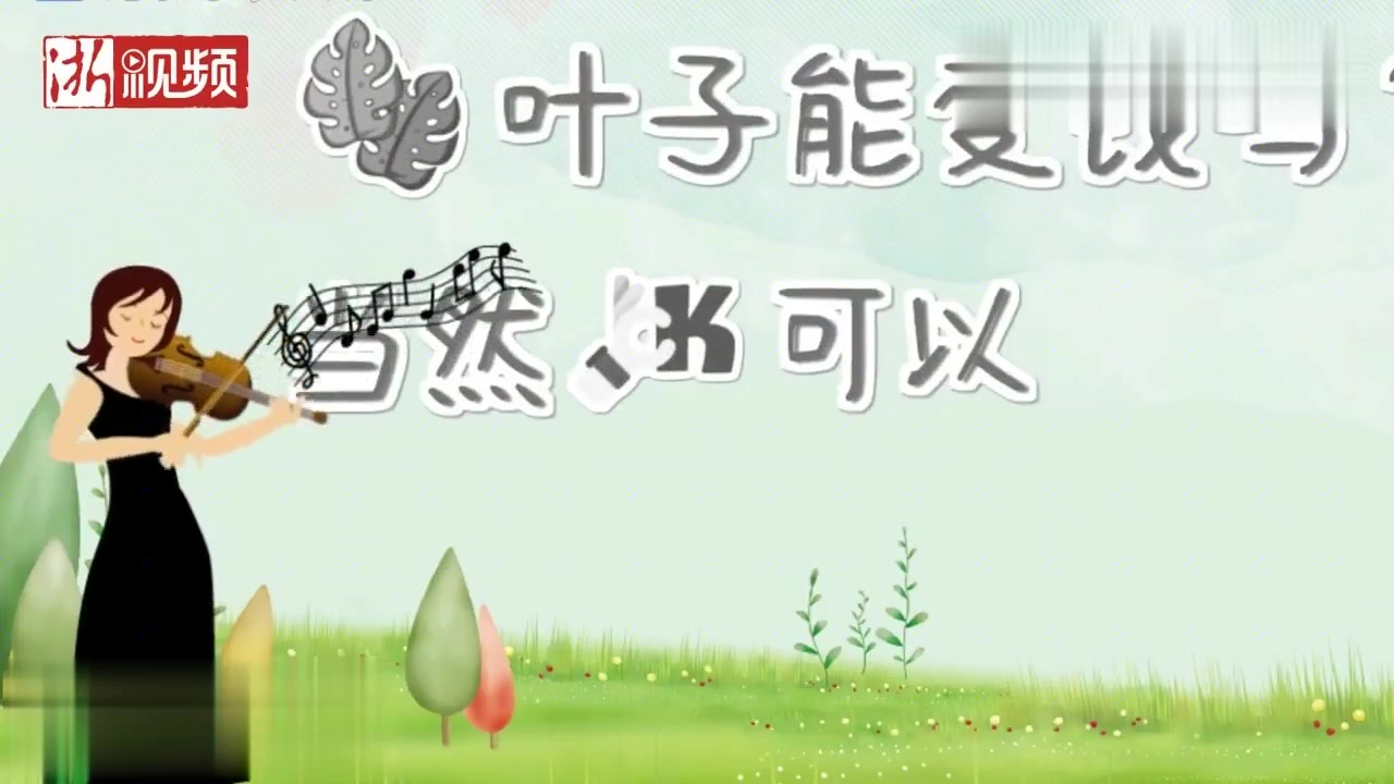 涌金楼·碳索长三角丨叶子变票子森林碳汇的财富能量有多大