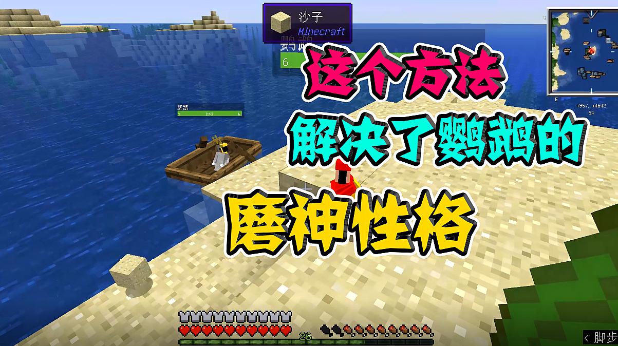 我的世界:节操村2020雨林里的宠物之这个方法解决了鹦鹉的慢