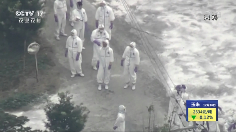 [中国三农报道]日本出现高致病性禽流感病例