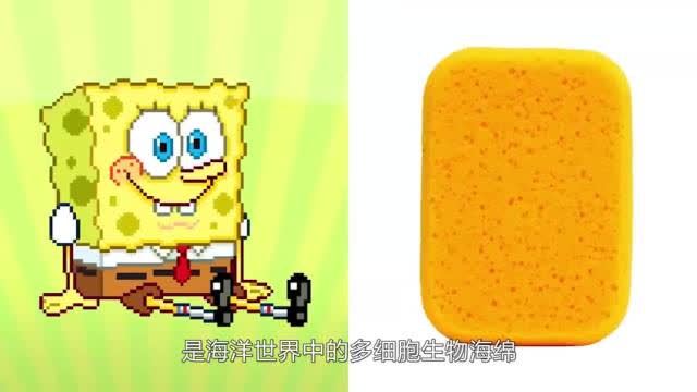 盘点那些你不了解的真相,原来海绵宝宝也有原型!