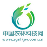 大鱼用户8868444219 