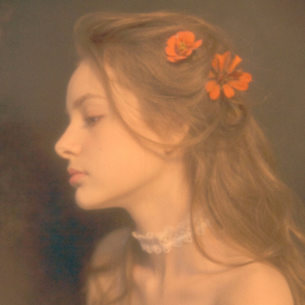 Dreamflylove 