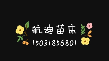 潮汐灌溉苗床 花卉种植灌溉式苗床 潮汐灌溉式移动苗床 温室大棚潮汐...