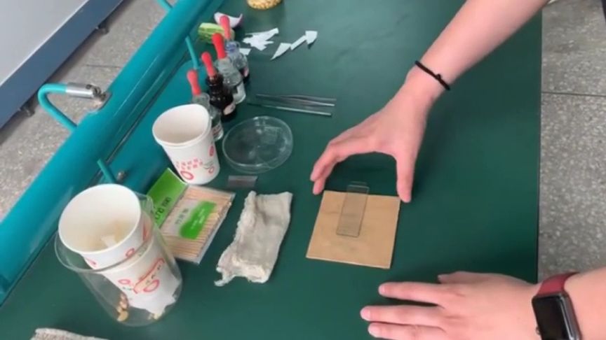 2021河南中招生物实验全套视频