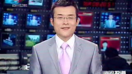 四川“两会”提案议案箱