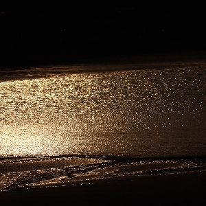 你是雾我是酒馆zzZ 