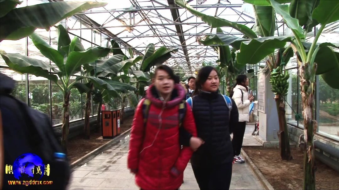 北京市第二十四中学举办社会大课堂活动