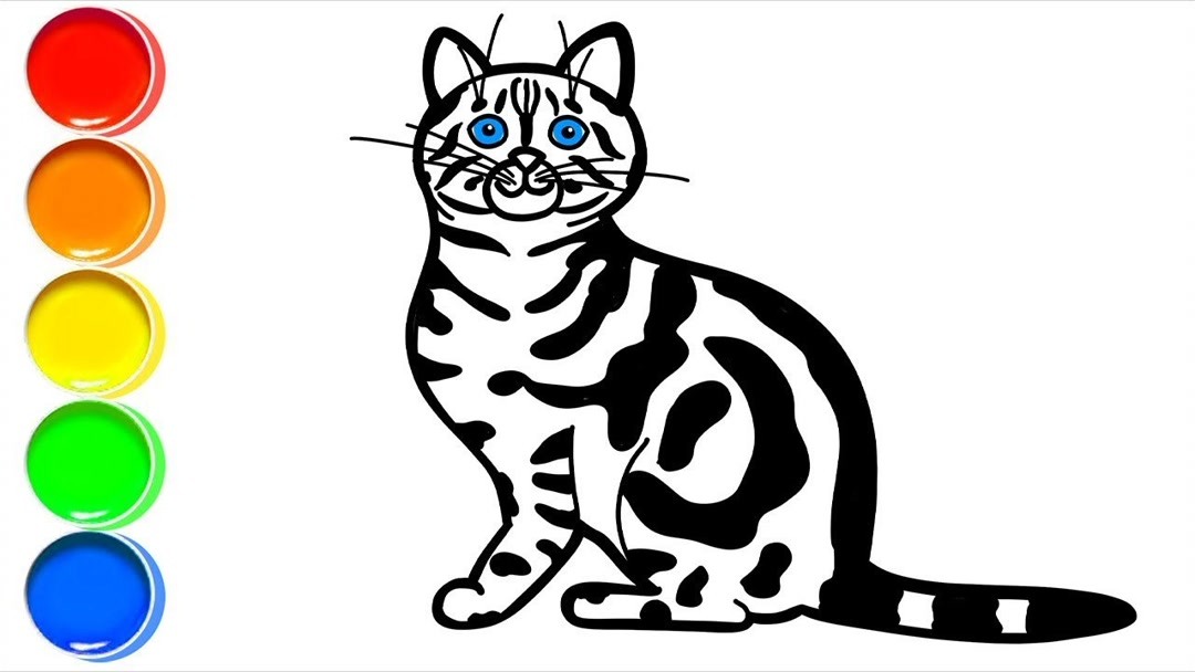 绘画教程,可爱的猫咪简笔画以及上色教程
