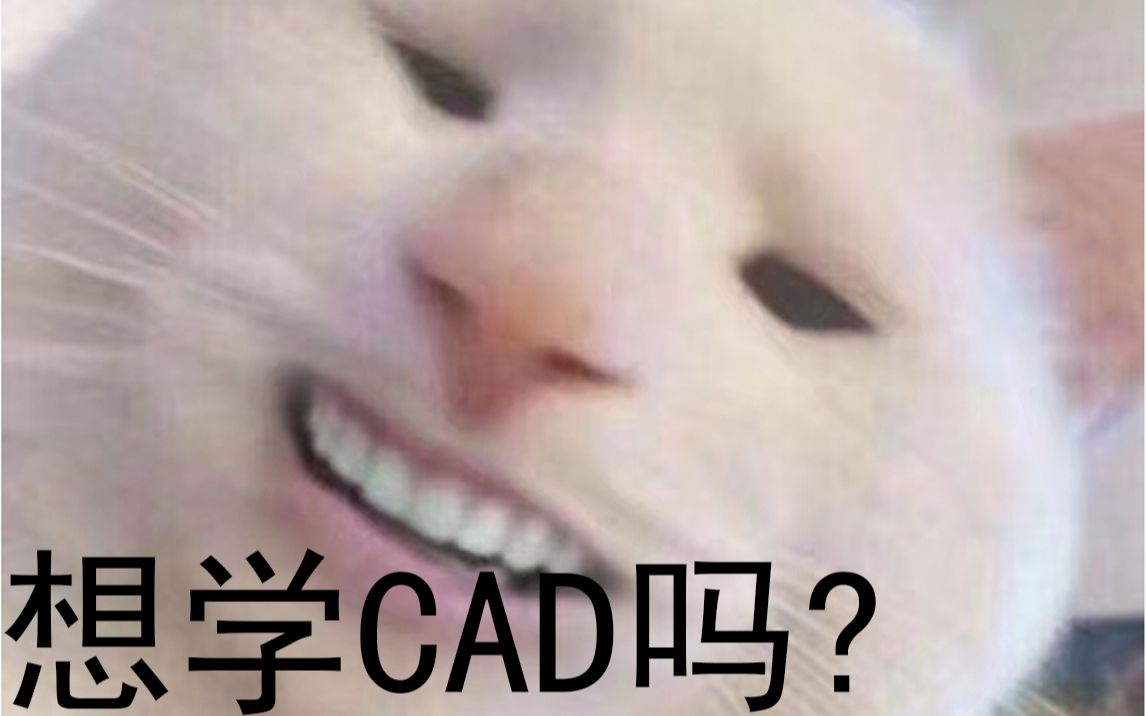 03.CAD立面图+排序