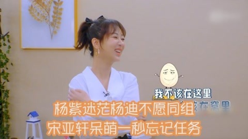 萌探探探案:杨紫迷茫杨迪不愿同组,宋亚轩呆萌一秒忘记任务